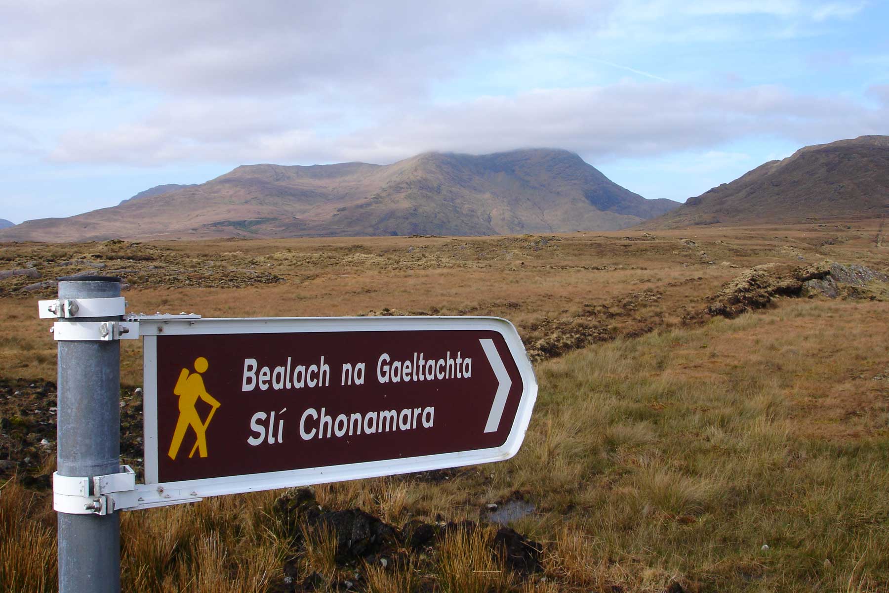 Immersed in Irish culture, students learn why Gaelic language ...